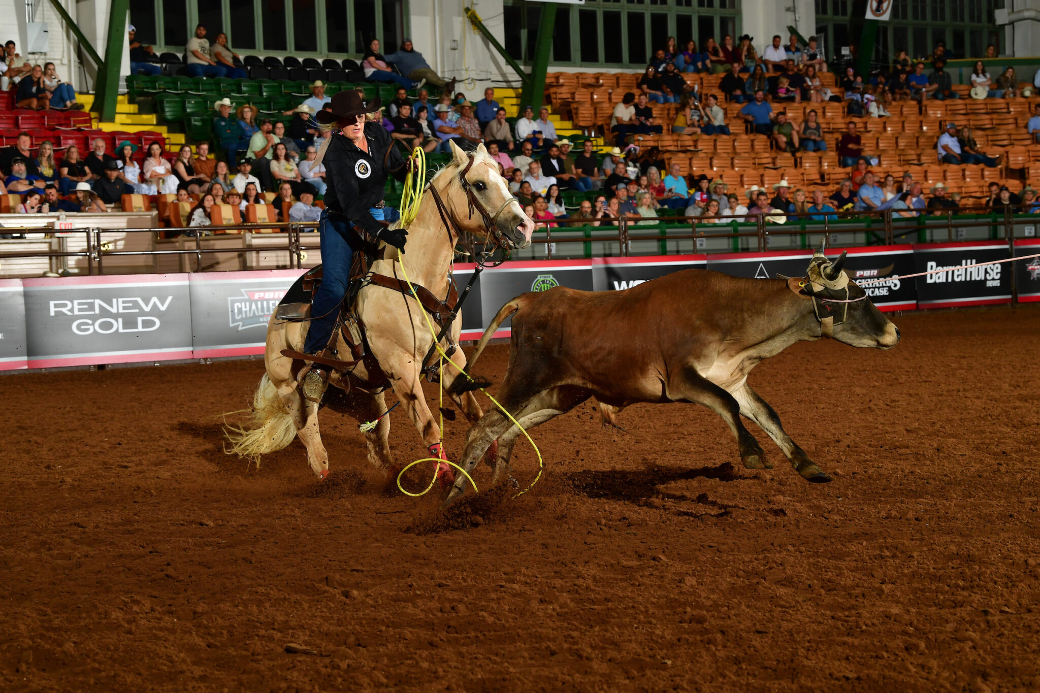15-Year-Old Kaitlyn Torres is Making Waves as a Top Heeler - WCRA ...